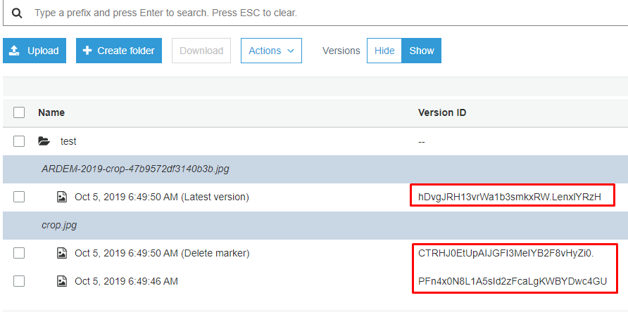 How to display original Files along with the Previous version?